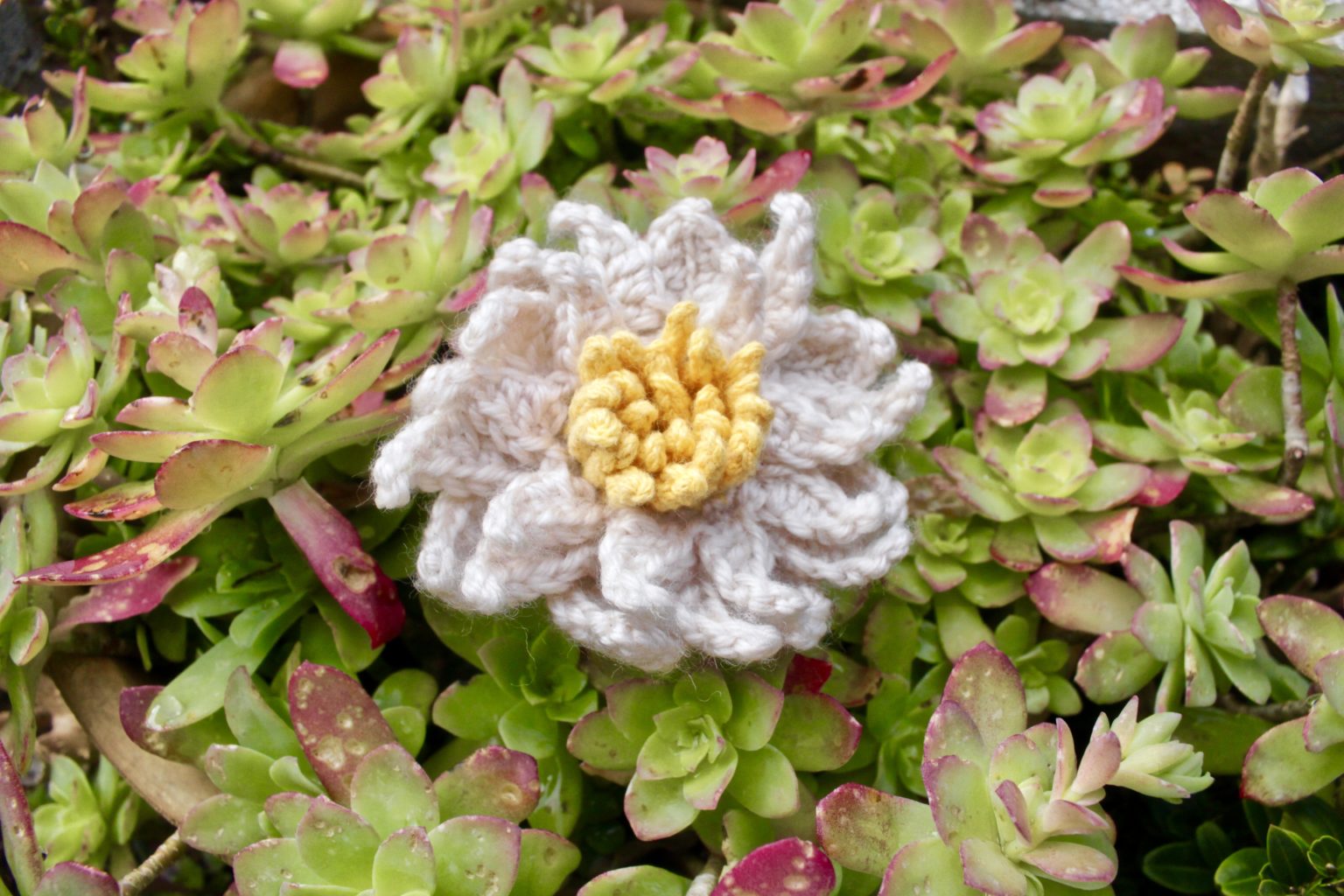 Water Lily Crochet Pattern